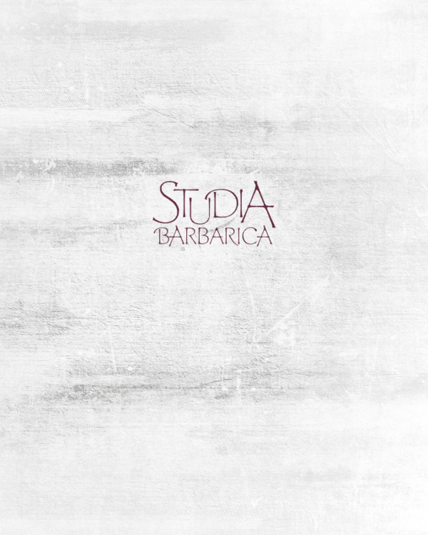 (PDF) When it comes to the Point - on the wooden double-pointed spikes ...