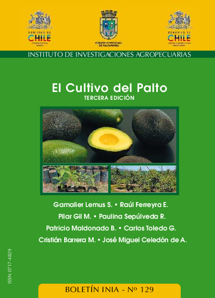 (PDF) EL CULTIVO DEL PALTO El Cultivo del Palto