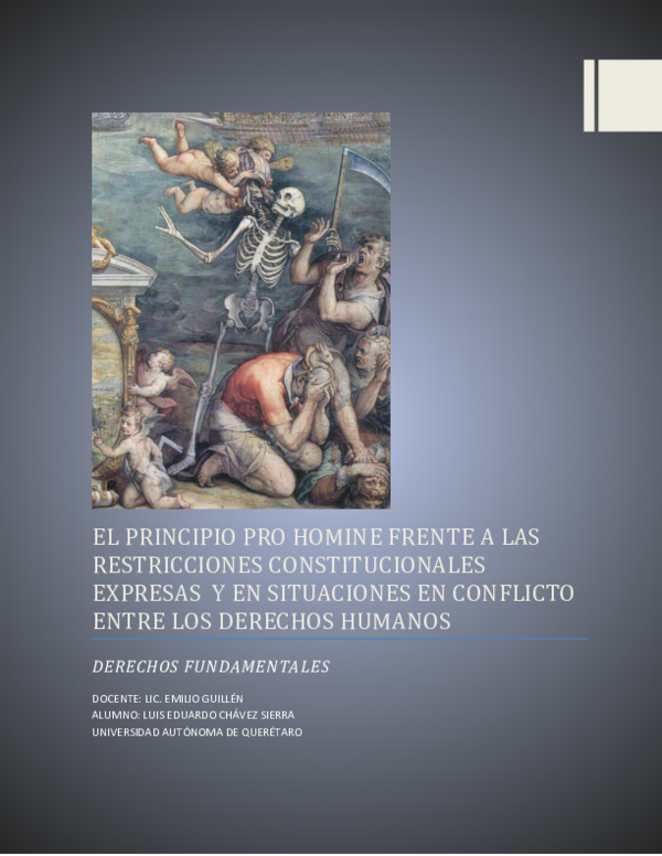 (DOC) PRINCIPIO PRO HOMINE ENSAYO DERECHOS FUNDAMENTALES