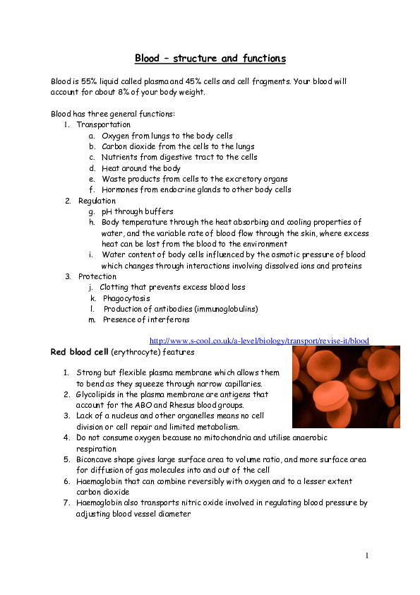 (DOC) Blood – structure and functions