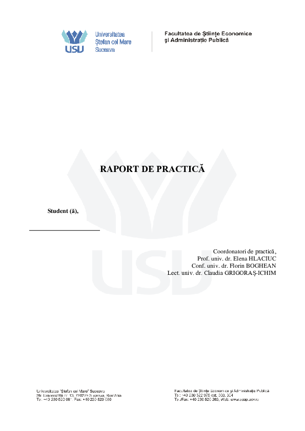(PDF) RAPORT DE PRACTICĂ