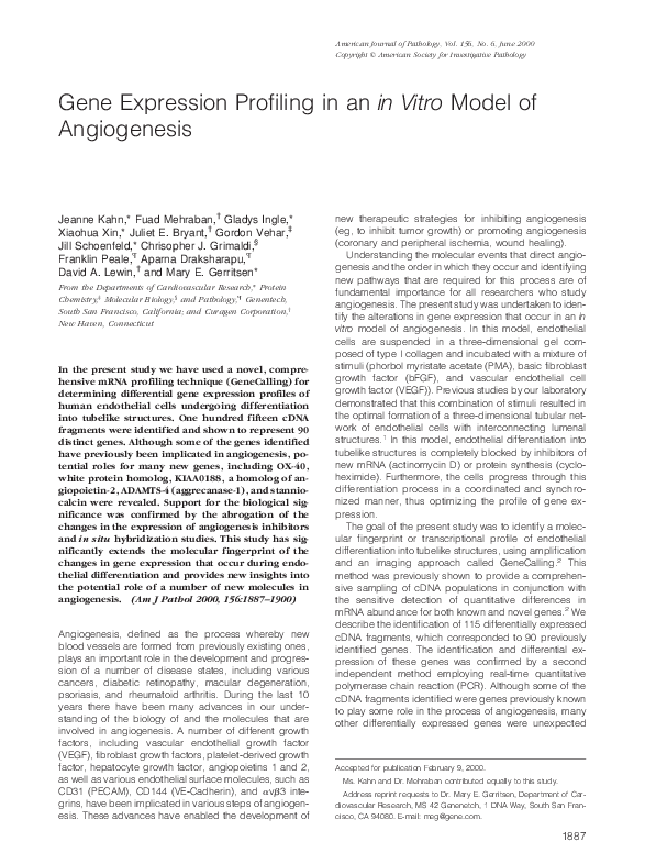 (PDF) Gene Expression Profiling in an in Vitro Model of Angiogenesis ...