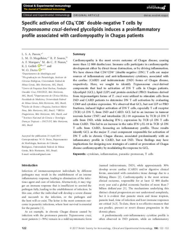 (PDF) Specific activation of CD4 – CD8 – double-negative T cells by ...