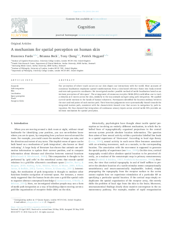 (PDF) A Mechanism for Spatial Perception on Human Skin
