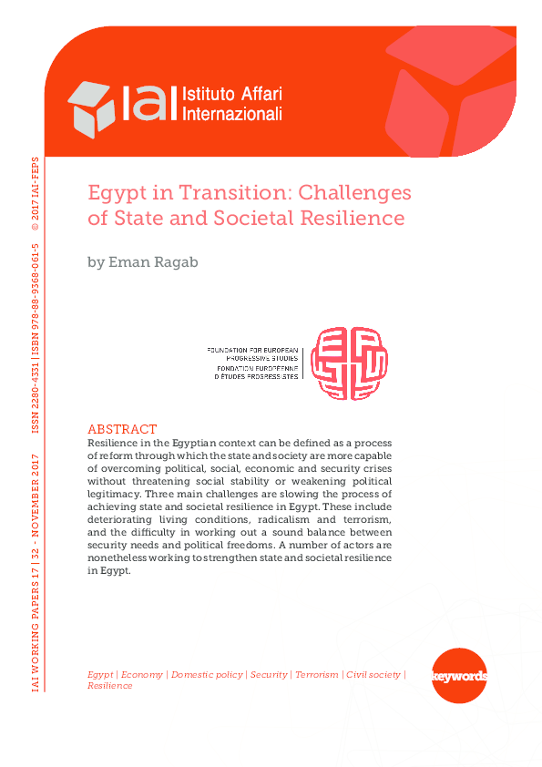 (PDF) Egypt in Transition: Challenges of State and Societal Resilience