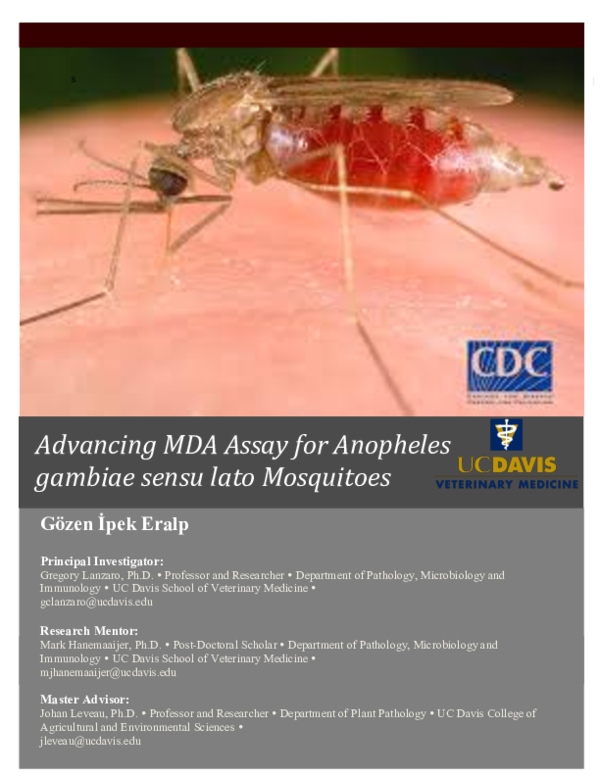 (PDF) Practicum - Advancing MDA Assay for Anopheles gambiae sensu lato Mosquitoes