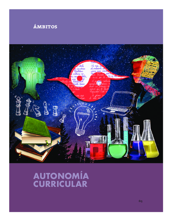 (PDF) AMBITOS AUTONOMIA CURRICULAR-leo