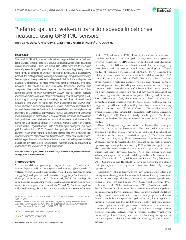 (PDF) Preferred gait and walk–run transition speeds in ostriches ...