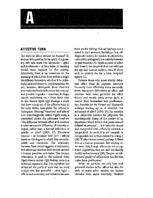 (PDF) Affective Turn