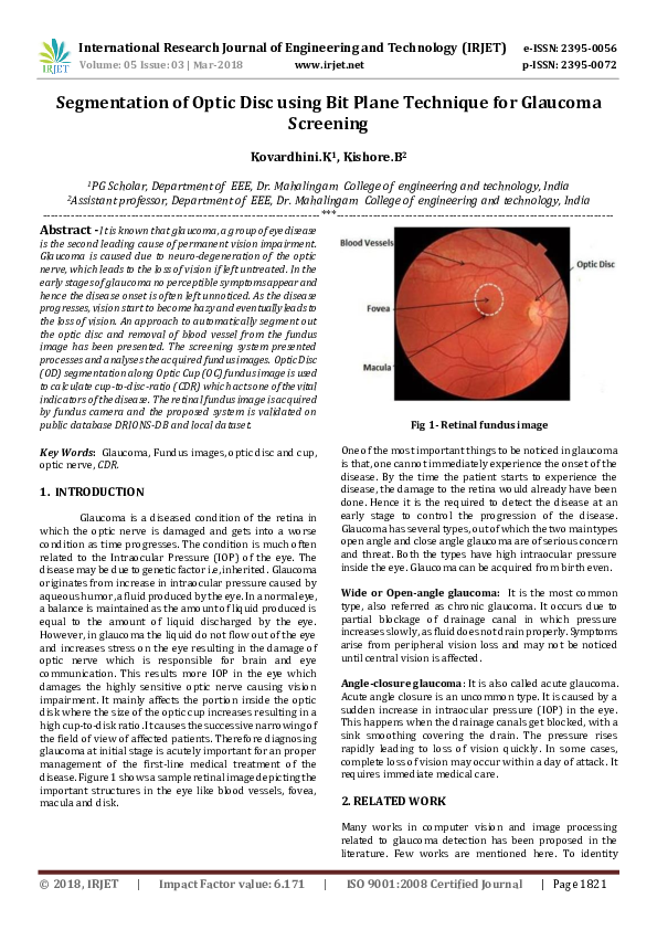 (PDF) Optic Disc Segmentation for Glaucoma Detection