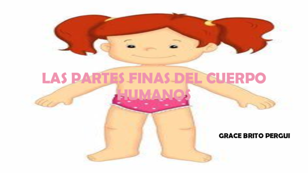 Ppt Partes Finas Del Cuerpo Humano
