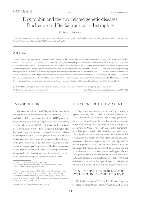 (PDF) Dystrophin and the two related genetic diseases, Duchenne and ...