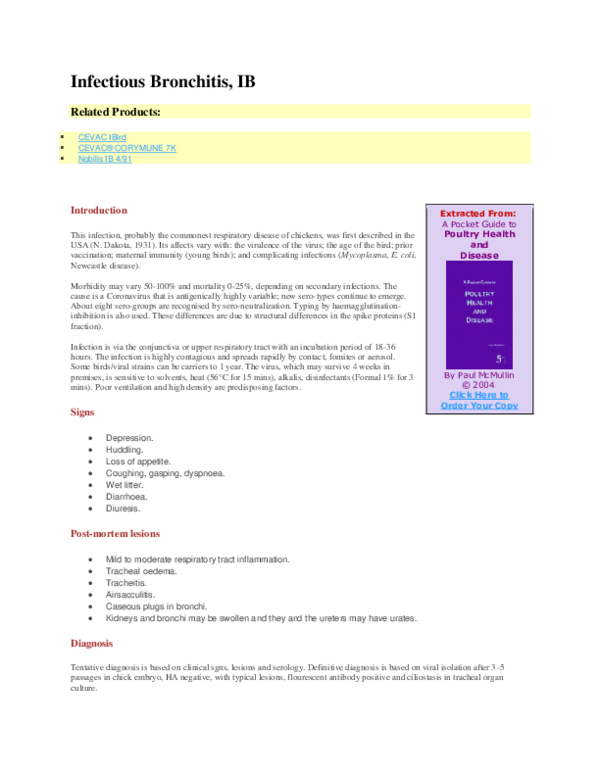 (DOC) Infectious Bronchitis, IB Nobilis IB 4/91 Extracted From: A ...
