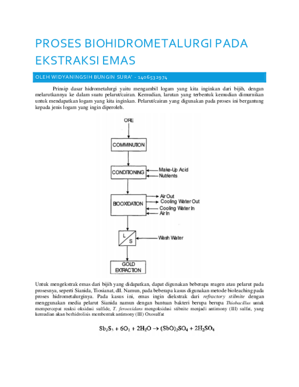 (DOC) proses biohidrometalurgi pada ekstraksi emas.docx