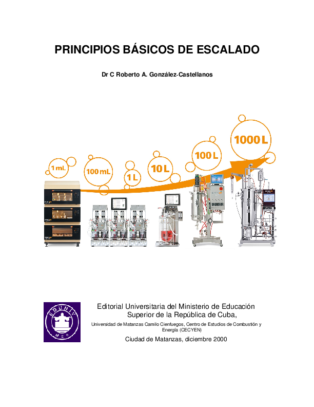 (PDF) Principios Básicos de Escalado