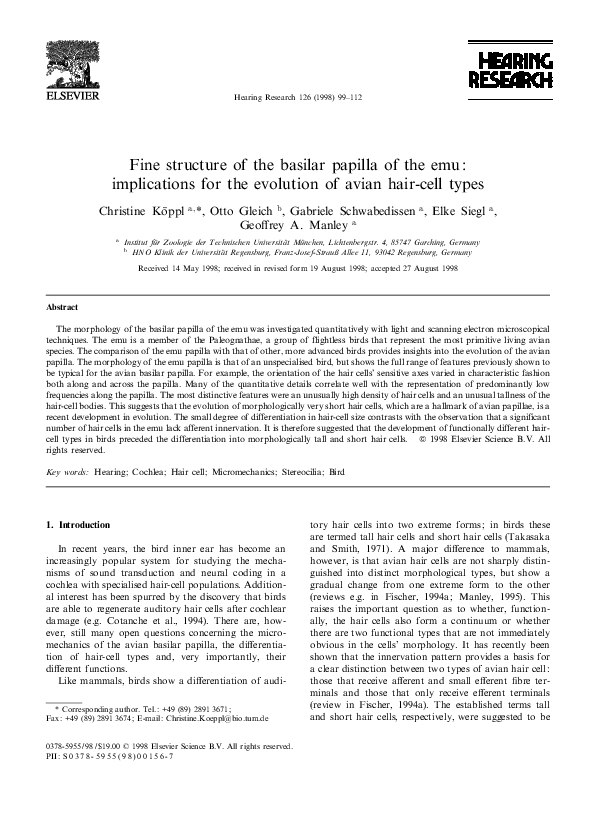 (PDF) Fine structure of the basilar papilla of the emu: implications ...