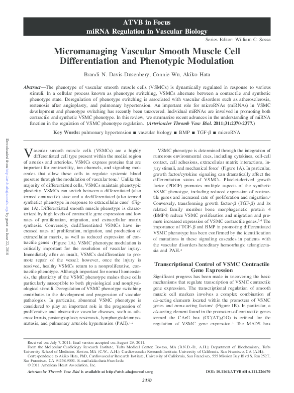 (PDF) Micromanaging Vascular Smooth Muscle Cell Differentiation and ...
