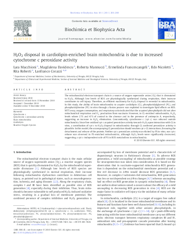 (PDF) H2O2 disposal in cardiolipin-enriched brain mitochondria is due ...