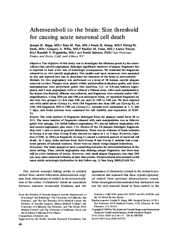 (PDF) Atheroemboli to the brain: Size threshold for causing acute ...