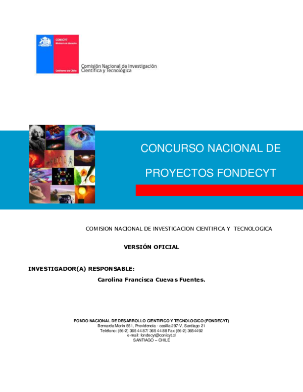 (DOC) Proyecto Final