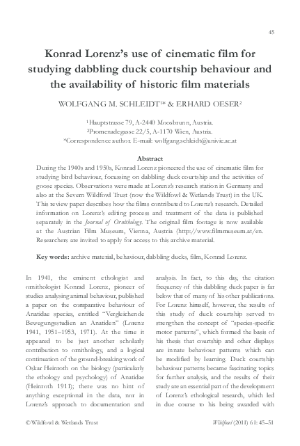 (PDF) Konrad Lorenz’s use of cinematic film for studying dabbling duck ...