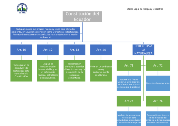 (DOC) ORGANIZADORES GRAFICOS DE LA CONSTITUCION DEL ECUADOR, COOTAD ...