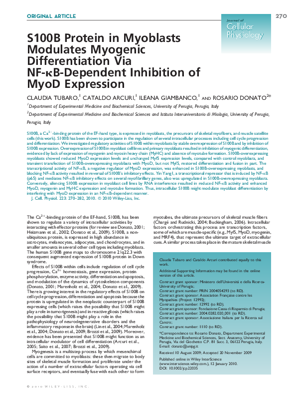 (PDF) S100B protein in myoblasts modulates myogenic differentiation via ...