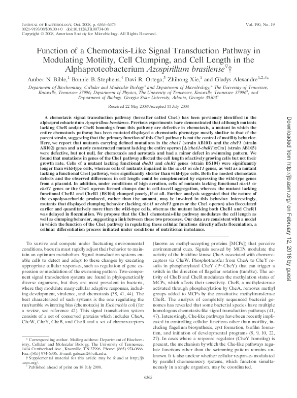 (PDF) Function of a Chemotaxis-Like Signal Transduction Pathway in ...