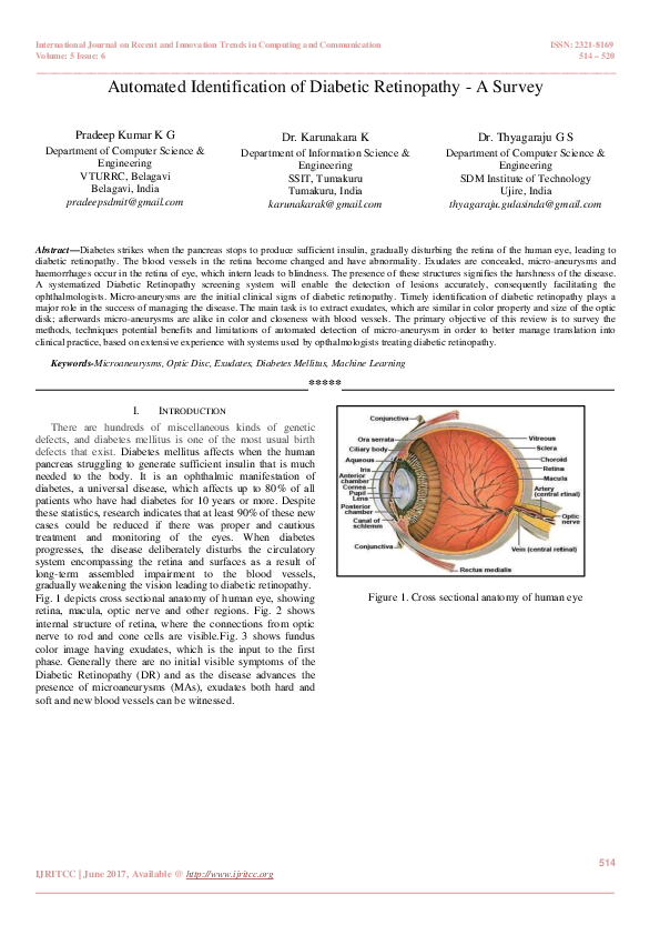 (PDF) Automated Identification of Diabetic Retinopathy - A Survey