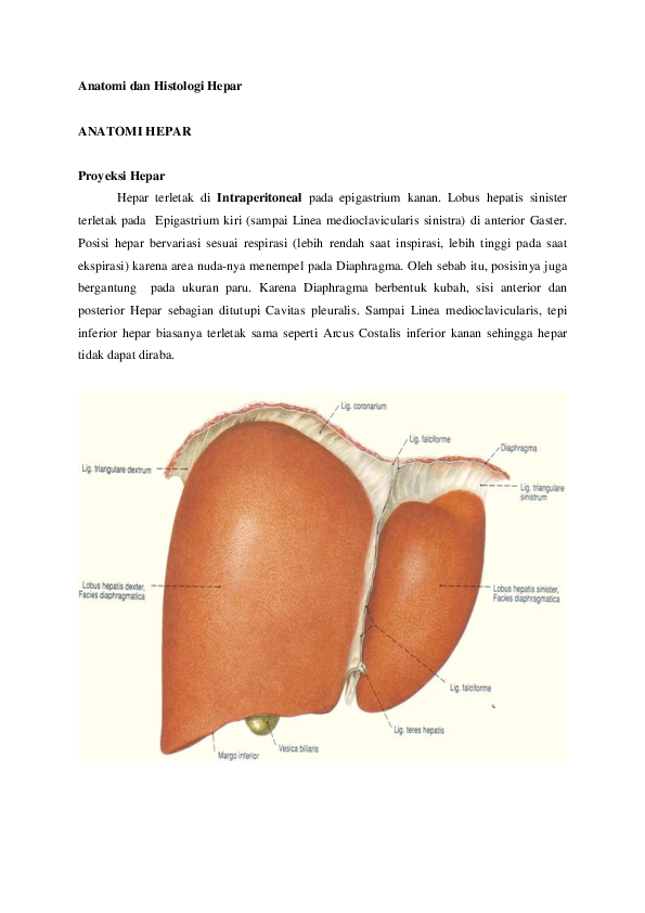 (DOC) PBL Modul 2 (Ikterik)