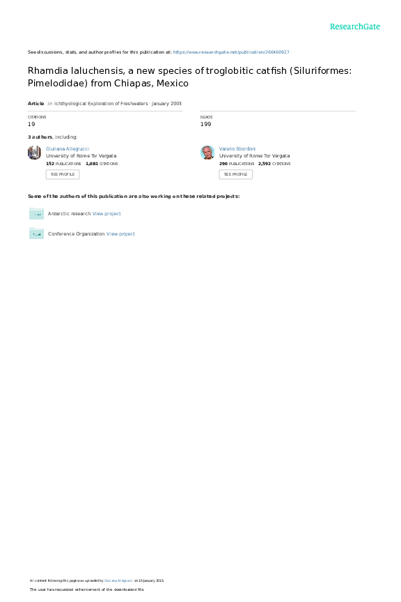 (PDF) Rhamdia laluchensis, a new species of troglobitic catfish ...