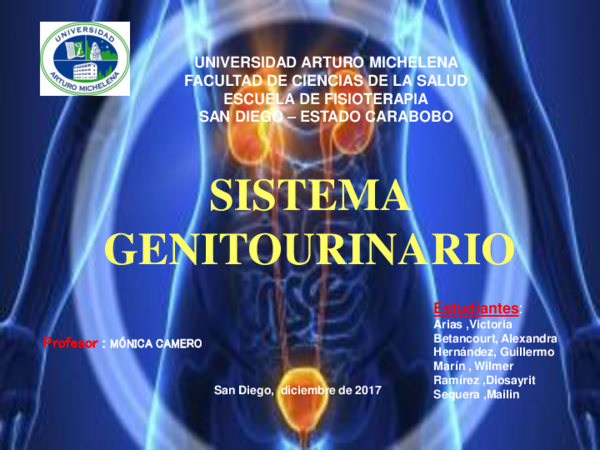 (PPT) SISTEMA GENITOURINARIO