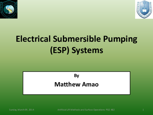 (PDF) Electrical Submersible Pumping (ESP) Systems