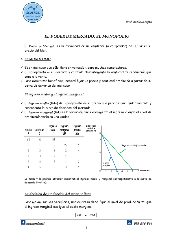 (PDF) EL PODER DE MERCADO: EL MONOPOLIO