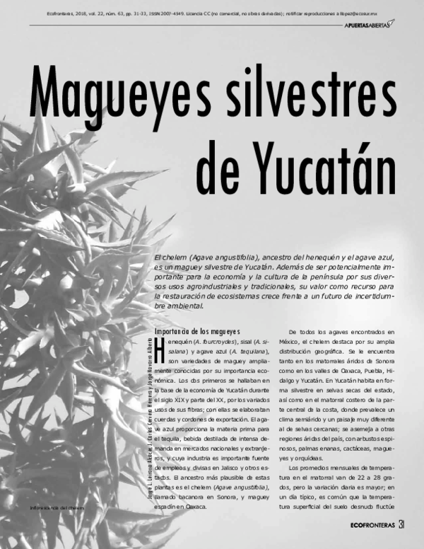 (PDF) Magueyes silvestres de Yucatán