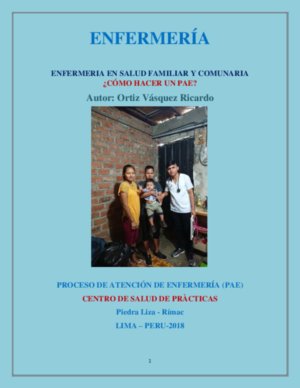 (PDF) PROCESO DE ATENCION EN ENFERMERIA ¿CÓMO HACER UN PAE?