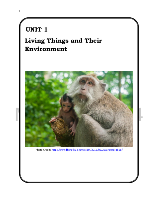 (PDF) Living Things and Their Environment