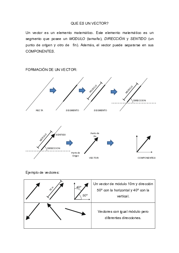 (PDF) QUE ES UN VECTOR