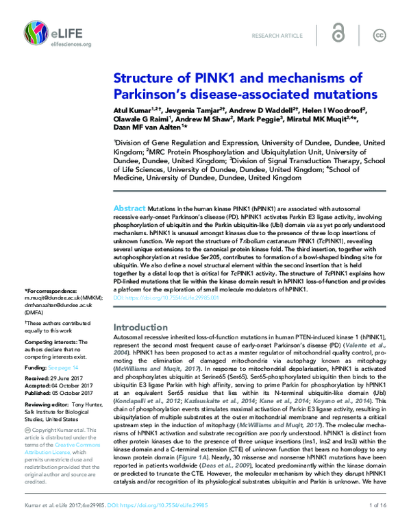 (PDF) Structure of PINK1 and mechanisms of Parkinson's disease ...