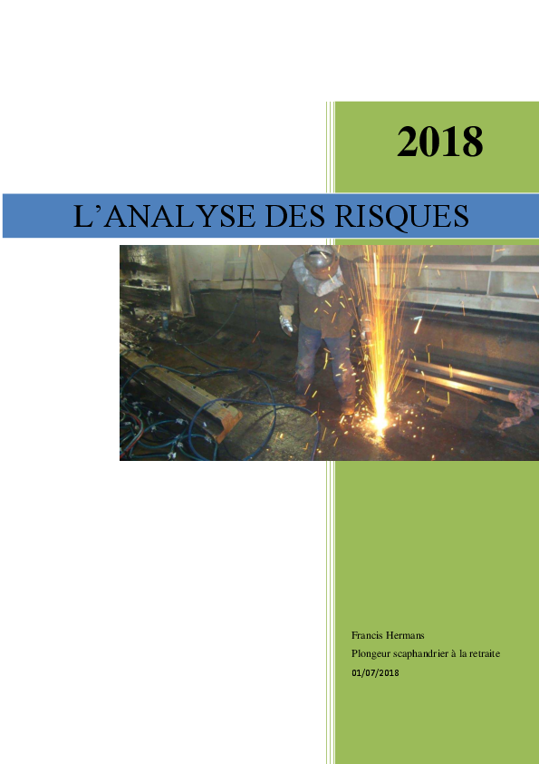 (PDF) L'ANALYSE DES RISQUES