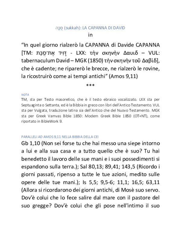 (DOC) in Amos 9,11 סֻכָּה.docx