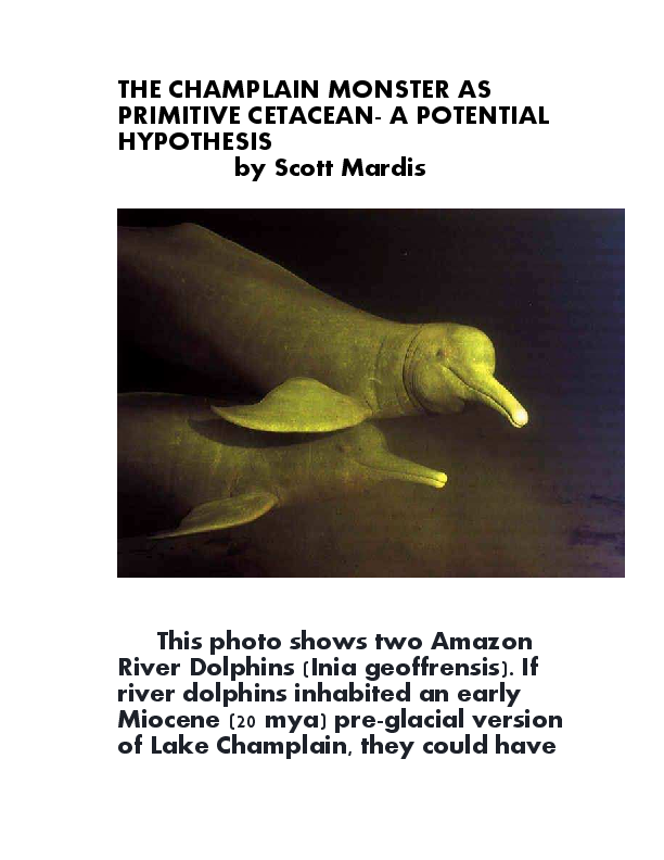 (PDF) THE CHAMPLAIN MONSTER AS PRIMITIVE CETACEAN-A POTENTIAL HYPOTHESIS