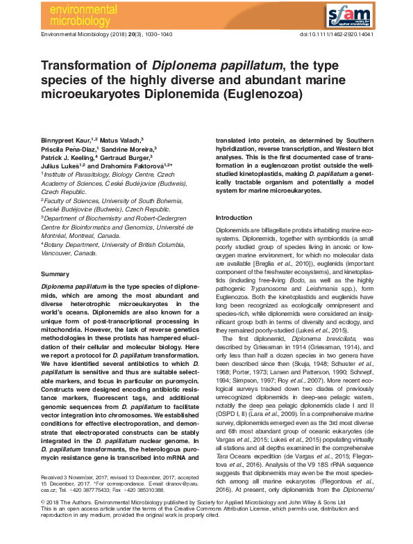 (PDF) Transformation of Diplonema papillatum, the type species of the ...