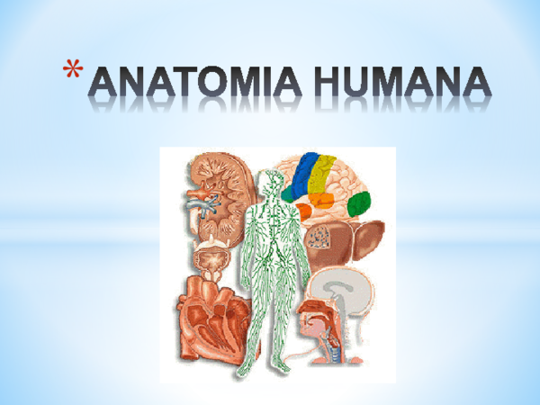 (PPT) ANATOMIA HUMANA presentacion rolando