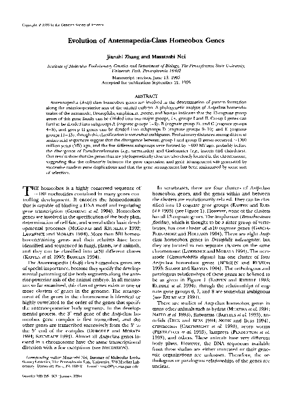 (PDF) Evolution of Antennapedia-class homeobox genes