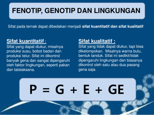 (PPT) 4 Fenotip, Genotip, lingkungan.pptx
