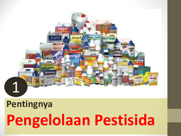 (PDF) PENTINGNYA PENGELOLAAN PESTISIDA