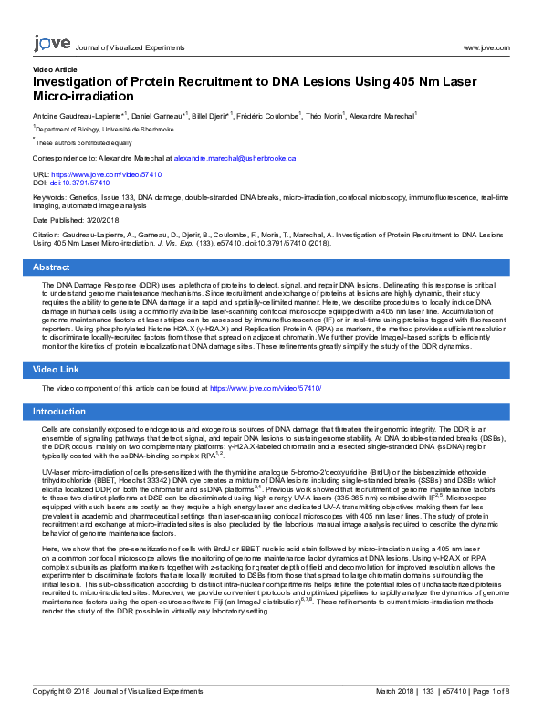 (PDF) Investigation of Protein Recruitment to DNA Lesions Using 405 Nm ...