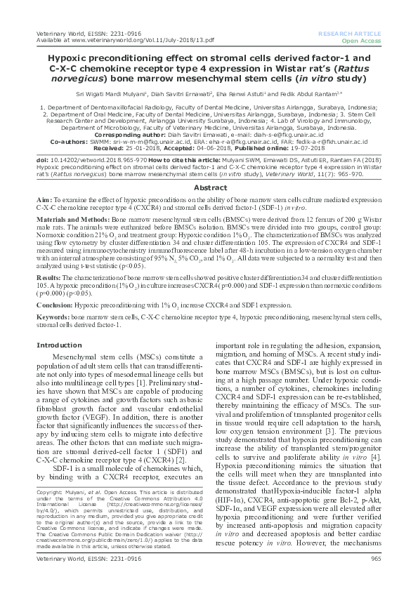 (PDF) Hypoxic preconditioning enhances bone marrow mesenchymal stem ...