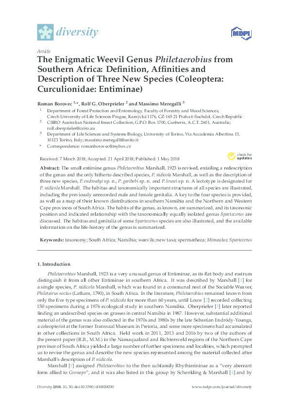 (PDF) The Enigmatic Weevil Genus Philetaerobius from Southern Africa ...